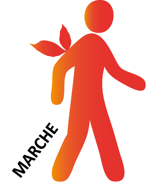 Station ‘nature’ – parcours Trail, VTT et Marche – Marcelcave